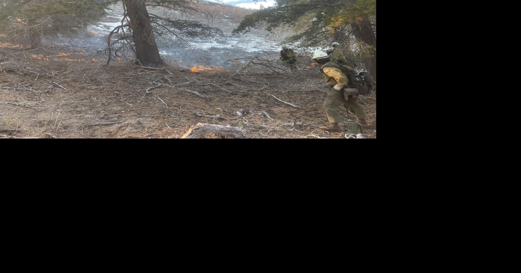 Crews getting closer to containing Sage Fire | News | mammothtimes.com