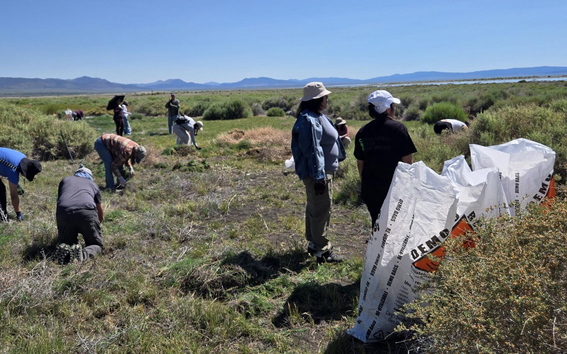 Tumbleweed mega-pulls at Mono Lake’s Black Point part of local ...