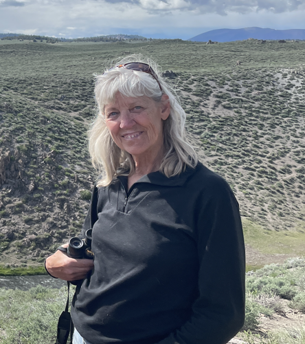 Tumbleweed mega-pulls at Mono Lake’s Black Point part of local ...
