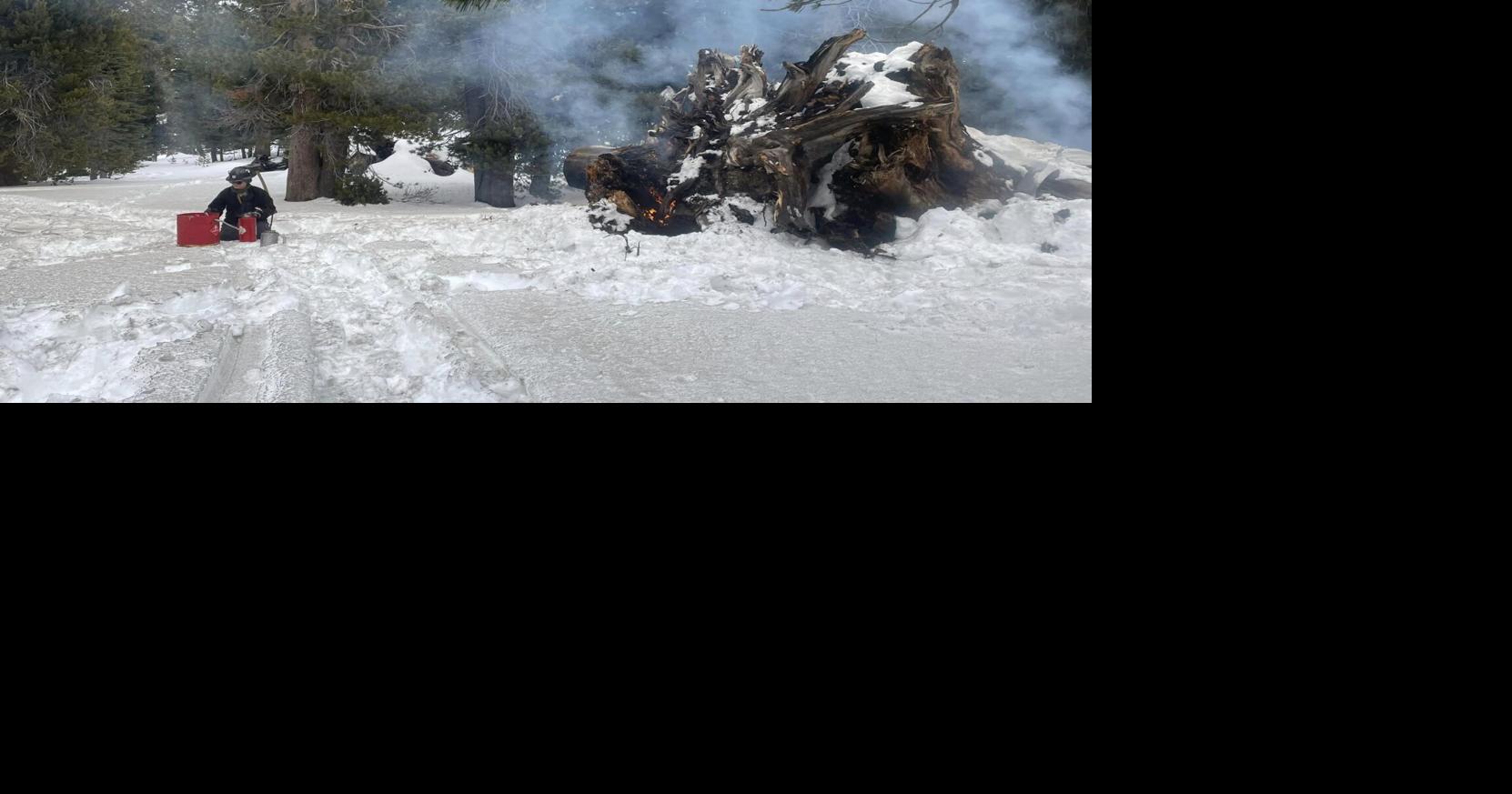 Inyo Forest Continues Prescribed Burns | News | mammothtimes.com