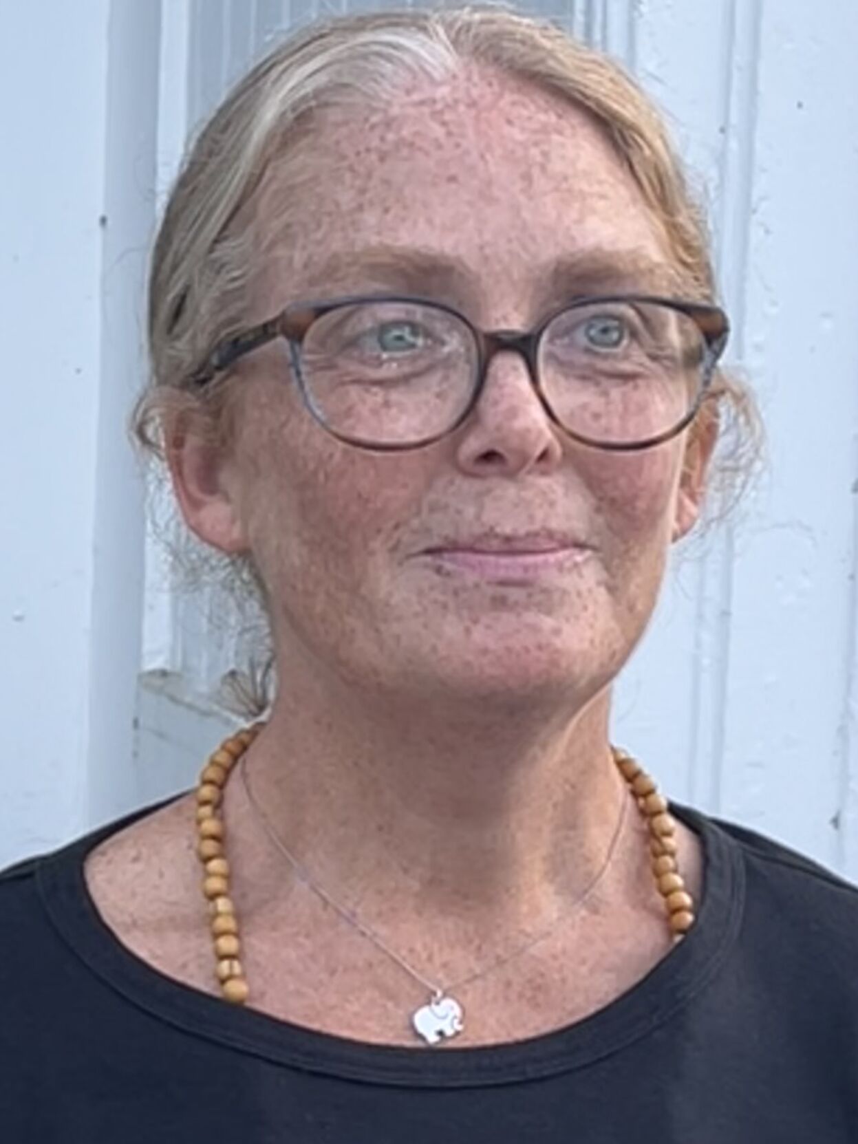 Board Chair and newly hired Pawlet Library director resign | Local-news ...