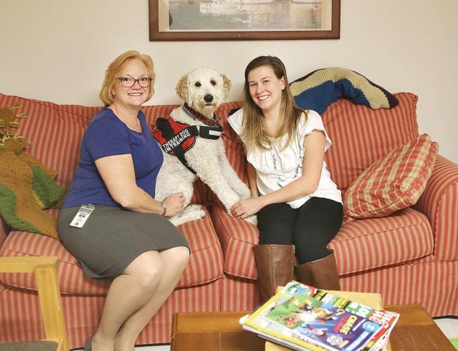 State's Attorney Office employs therapy dog | Local News ...