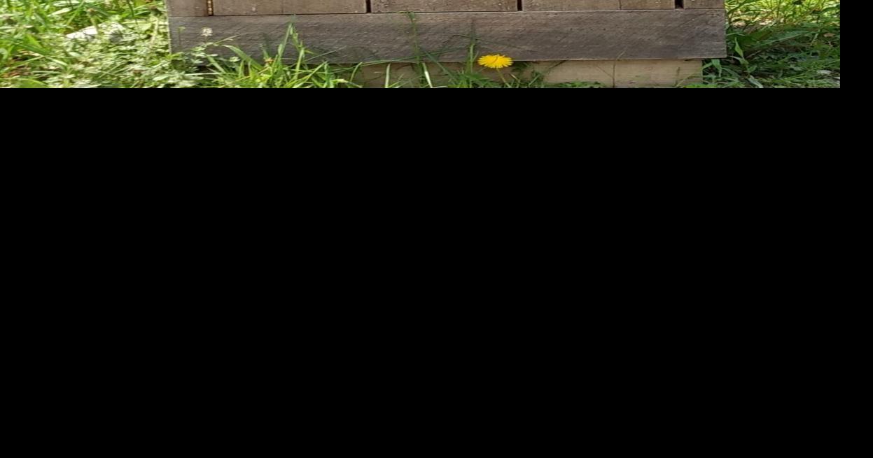 Pawlet holds DRB hearing over Slate Ridge permit appeal | Local News ...