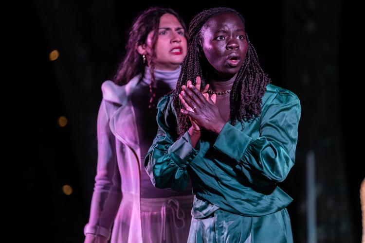 Shakespeare in the Woods announces 2026 season of ‘Chaos and Folly ...