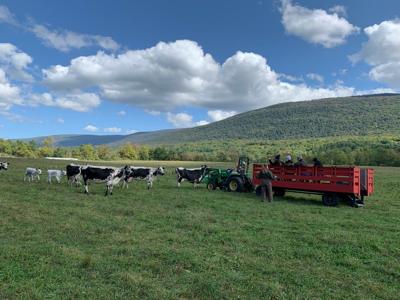 Enjoy a fall wagon ride at Hildene | Community-news | manchesterjournal.com