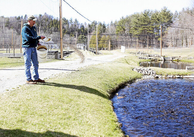 Bennington Fish Hatchery turns 100 years old | Local News ...