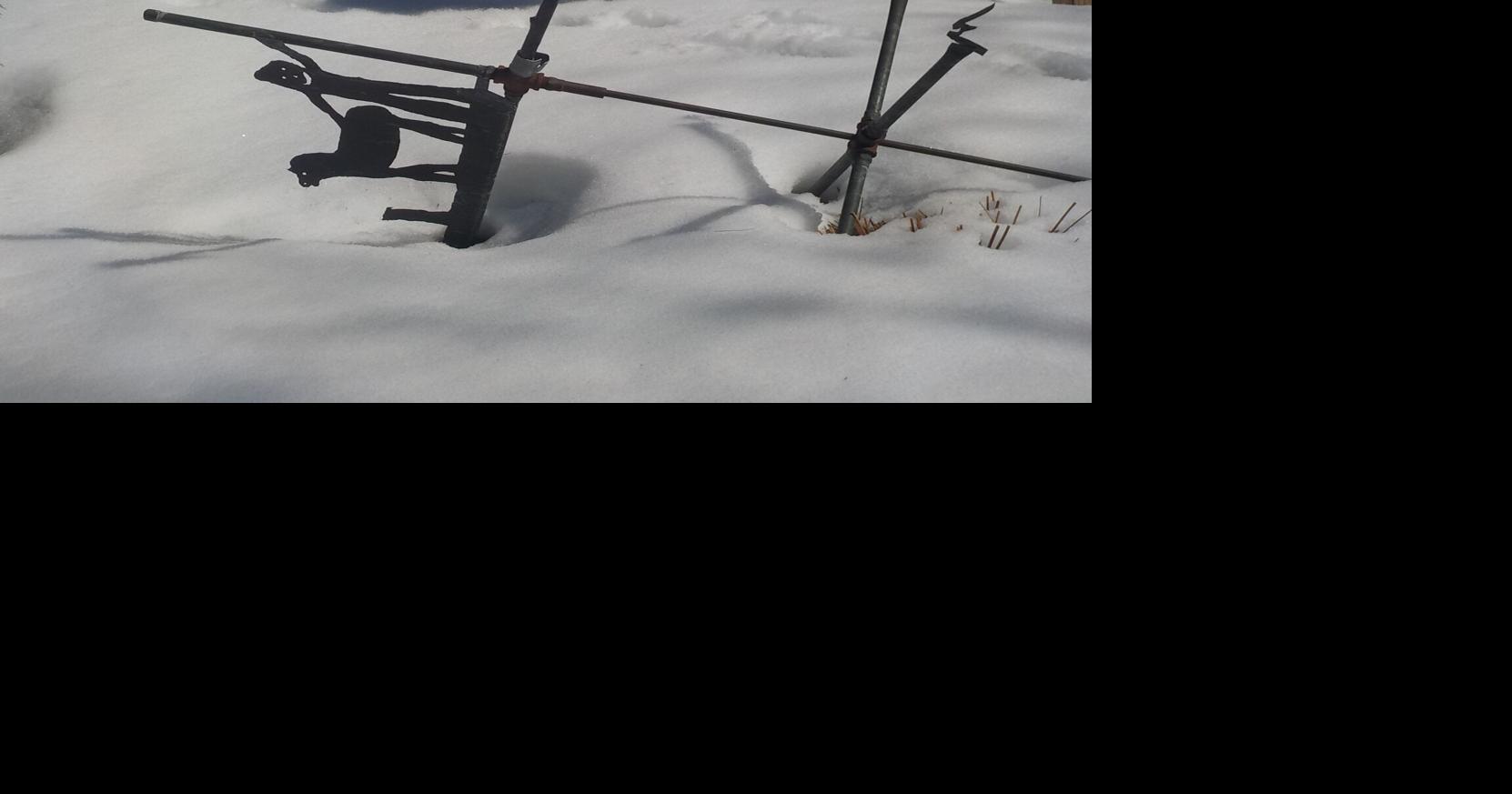 Henry Homeyer | Notes from the Garden: More chores for spring ...