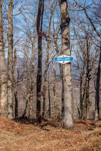 Glades project at Stratton brings 'new lines through old favorites ...