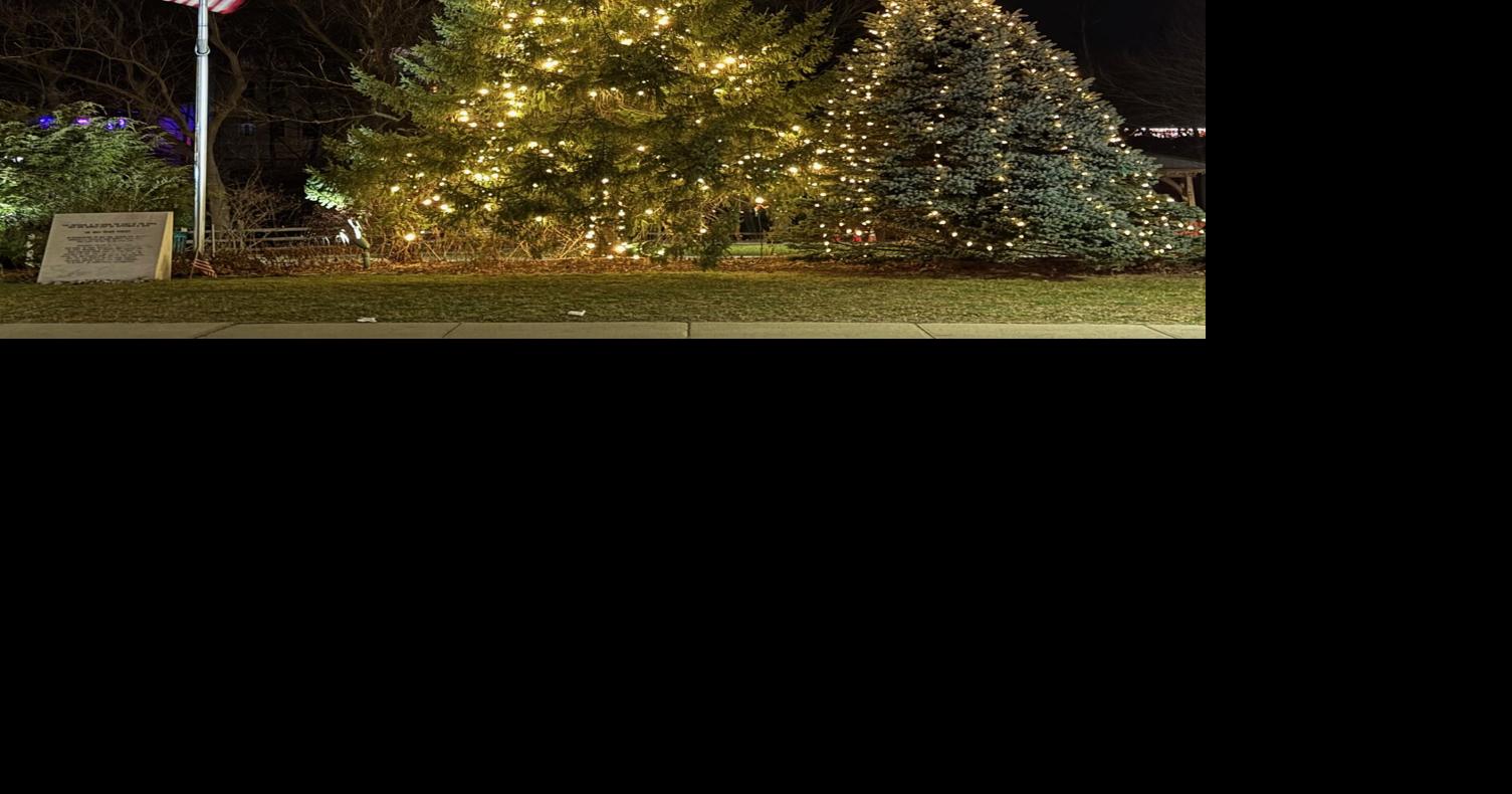 Manchester tree lighting ushers in the holiday season ...