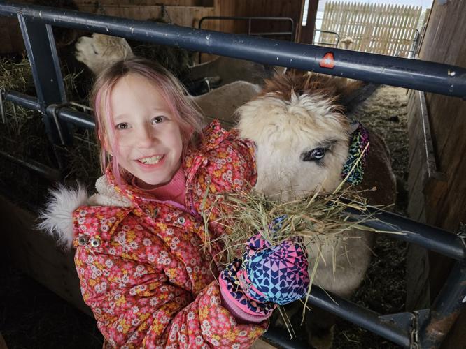 Choices abound: JISP is up and running at area schools | Education ...