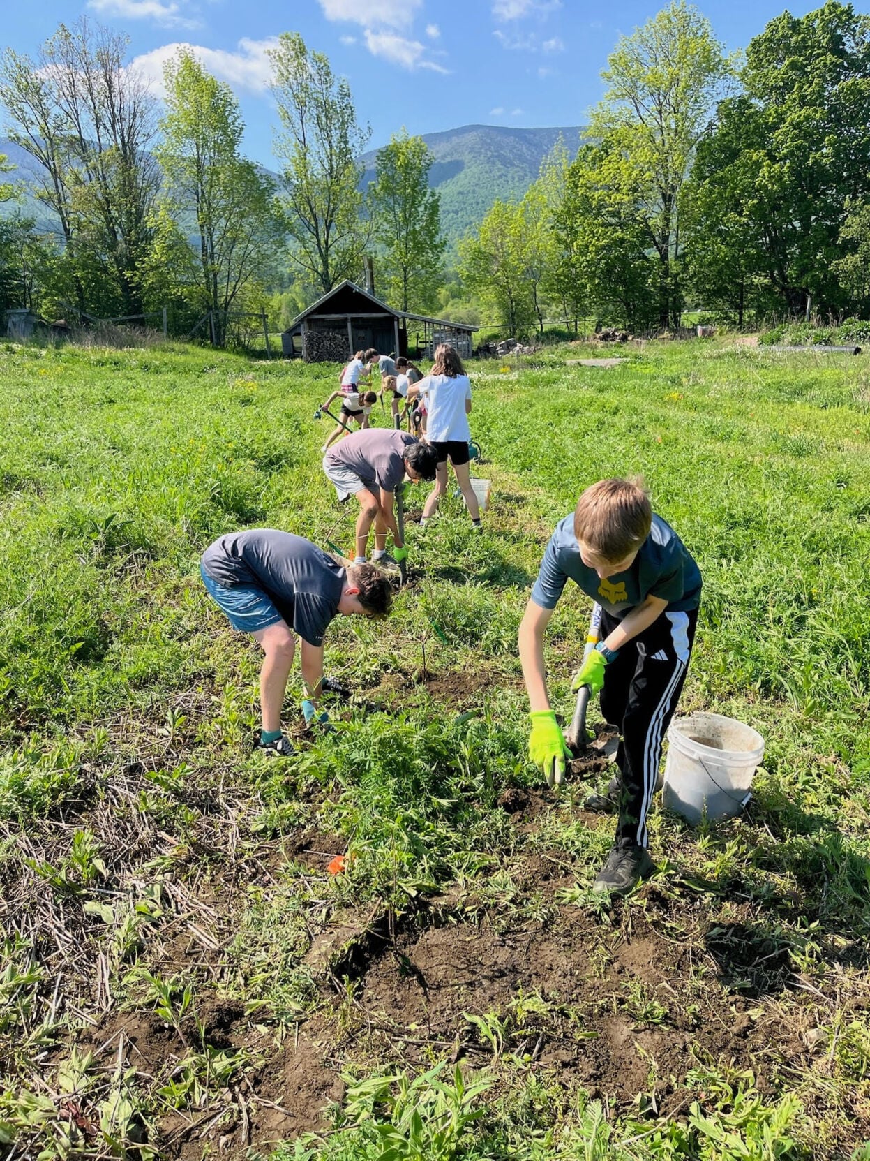 Smokey House receives farm to school grant to install new berry alley ...