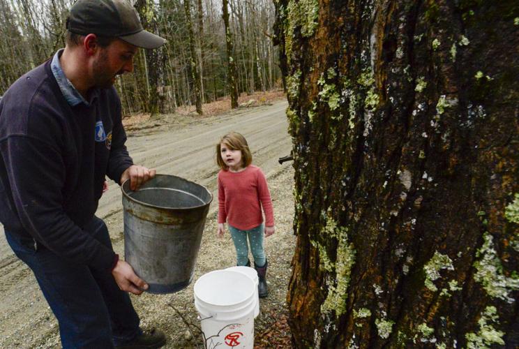 Southern Vermont hobby sugarers make sweet treats for friends and ...