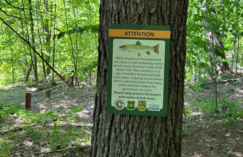 Protecting ‘nature’s architecture’: Wildlife conservation partners ...