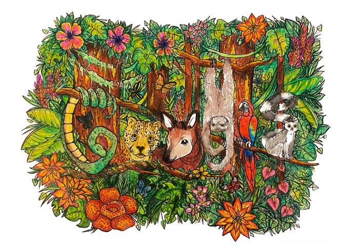 Long Trail student representing Vermont in national Google Doodle ...