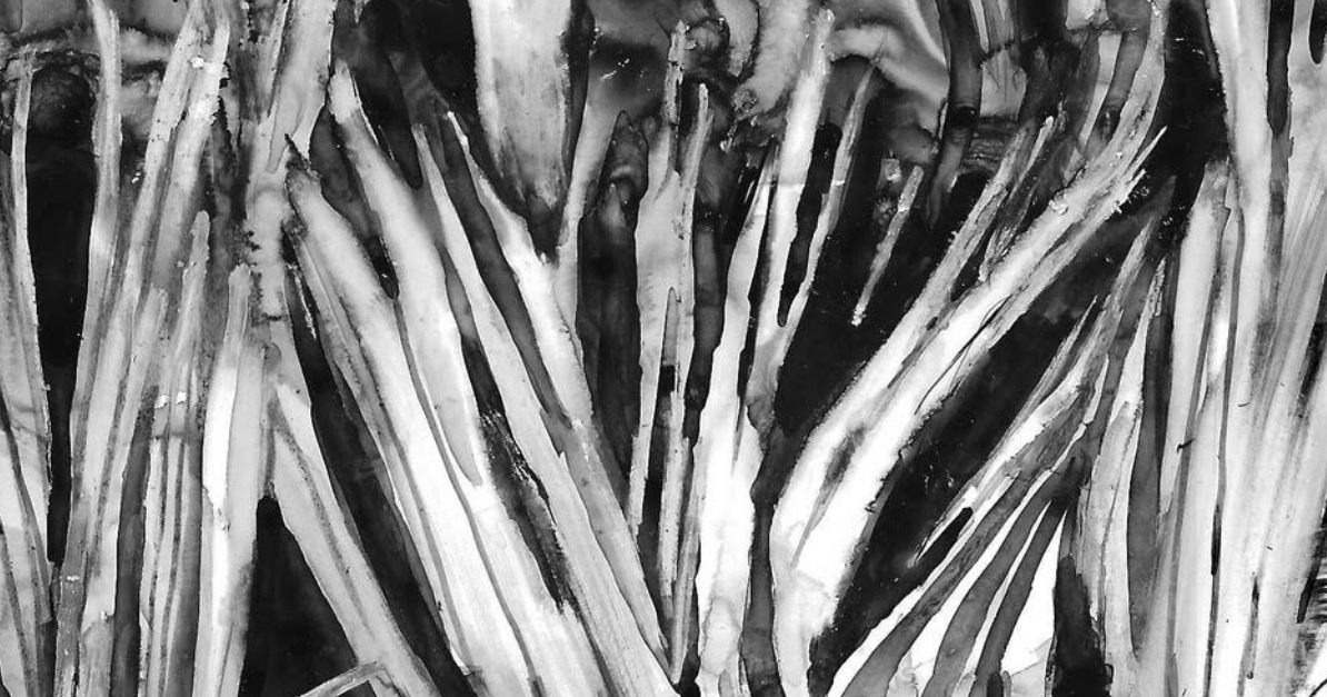 The Outside Story | The fractured magic of needle ice | Opinion ...