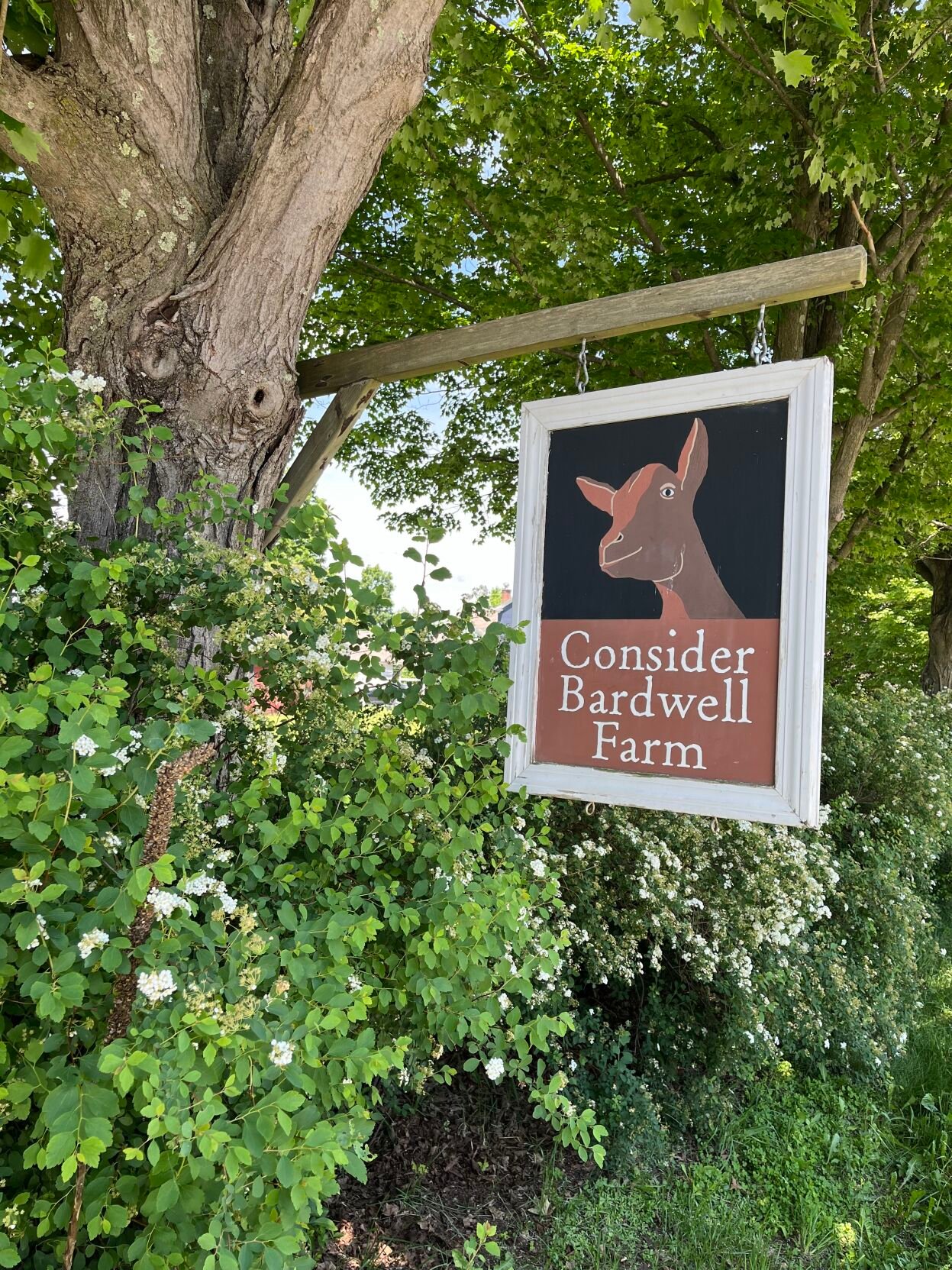Consider Bardwell Farm ceases production, but its legacy lives on ...