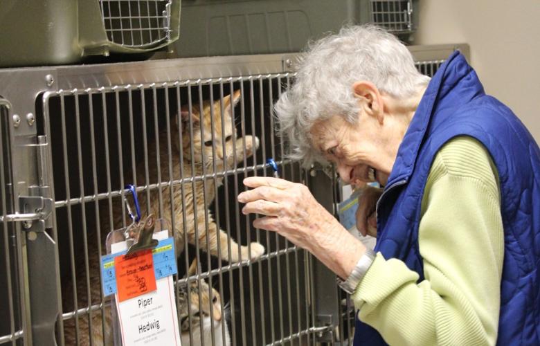 Due to many recent surrenders, Second Chance Animal Center is at ...