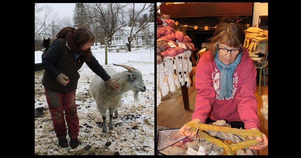 'Vibrantly alive' Local fiber farmer prepares to give workshops | Arts ...