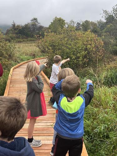 A pathway to learning: New wetlands boardwalk unveiled in Pawlet ...