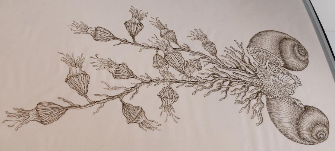 Natural materials, real stories: Michelle Samour talks about paper like ...