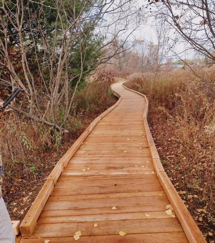 A pathway to learning: New wetlands boardwalk unveiled in Pawlet ...