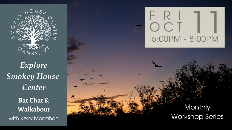 Going batty! Smokey House to host Bat Chat and Walkabout | Local-news ...