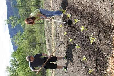Community Garden | Local News | manchesterjournal.com