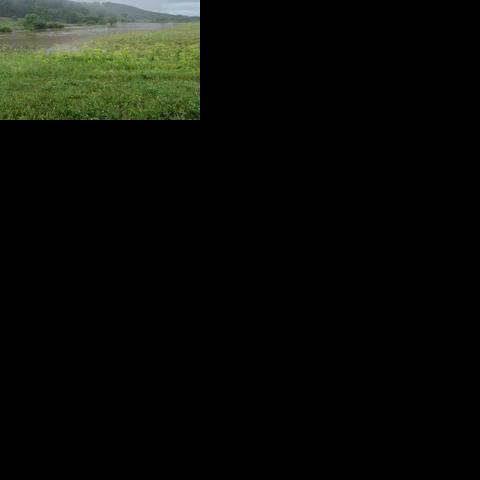 Battenkill River corridor and wetlands conserved | Community-news ...