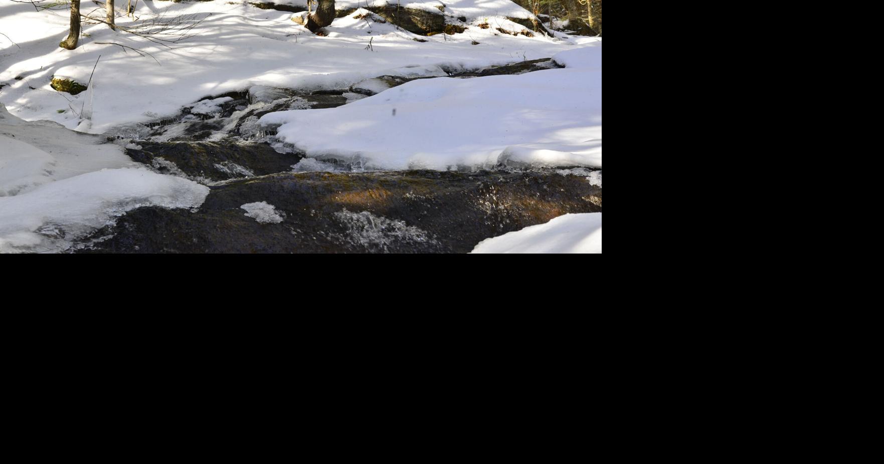 Porcupines and beavers: Marlboro preserve protects Green River ...