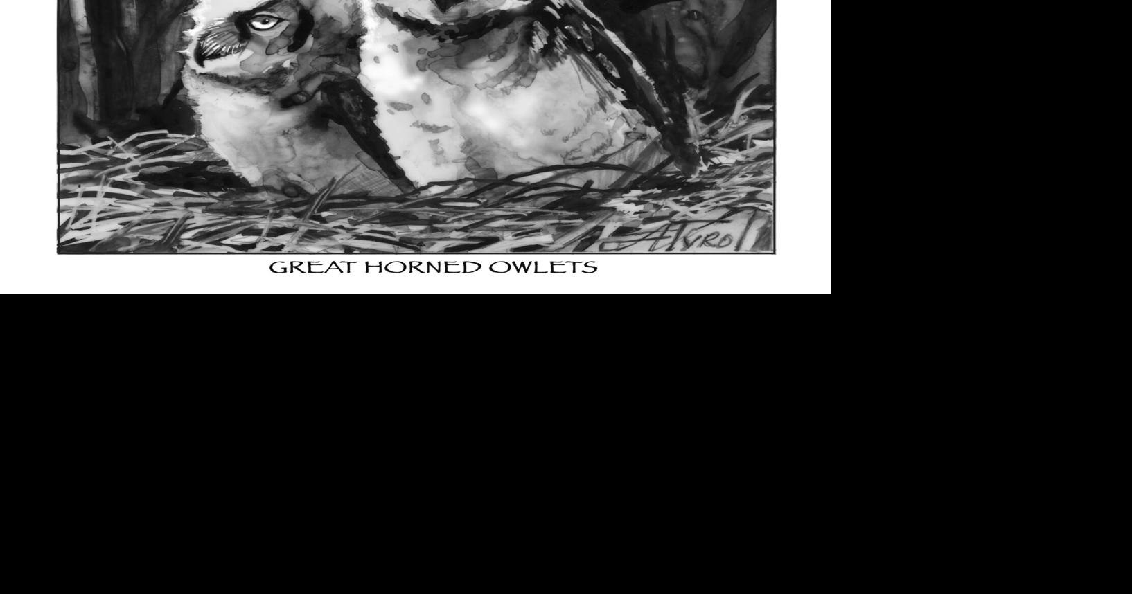 The Outside Story: Hooting a sign of spring as owls nest, prepare for ...