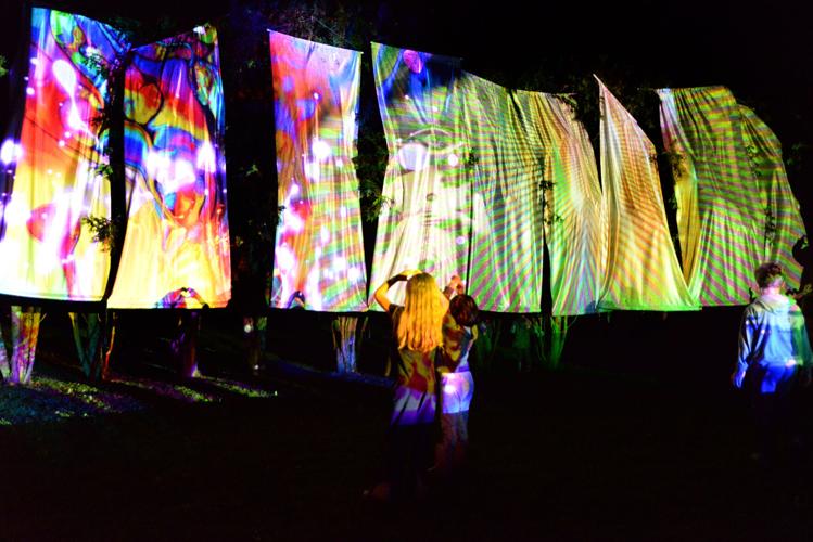 'If you miss it, it’s gone': Outdoor light, sound exhibit inspires ...