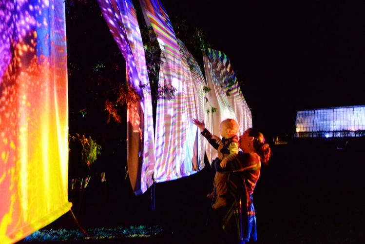 'If you miss it, it’s gone': Outdoor light, sound exhibit inspires ...