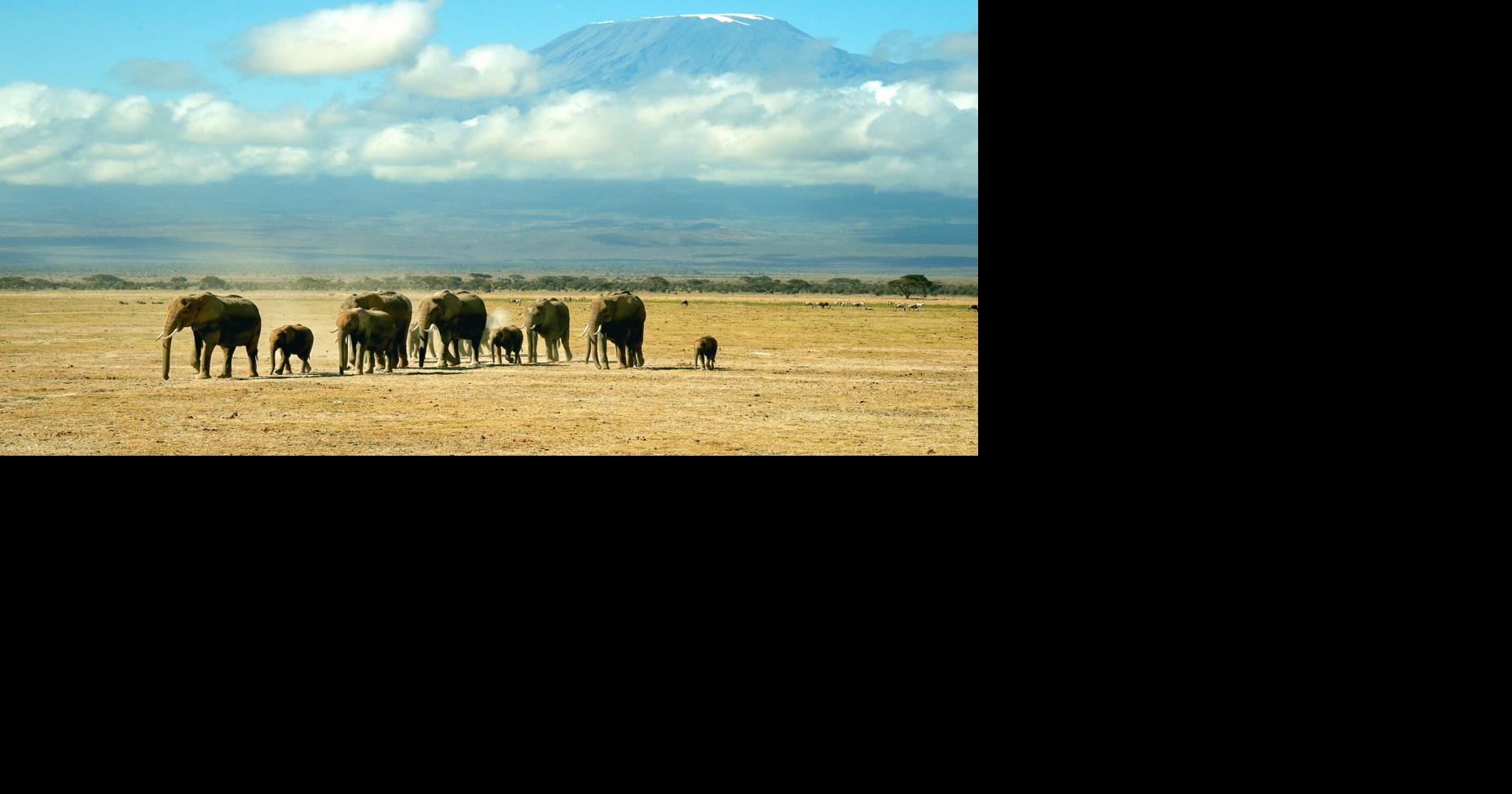 Weston Craft Show returns with artists including area safari ...