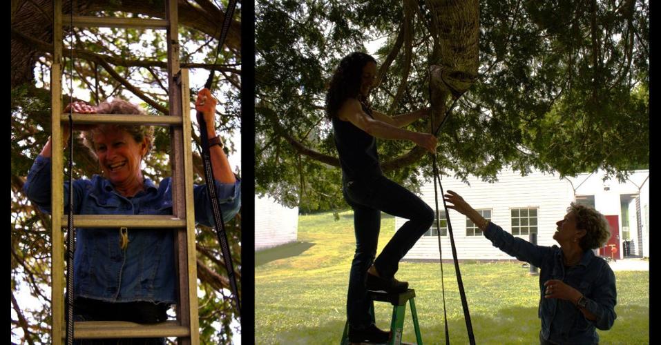 The art of letting go: aerial yoga in full swing at SVAC | Local-news ...