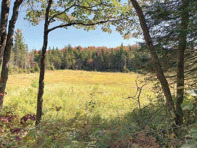 Long hike to Bourn Pond worth it | Local News | manchesterjournal.com