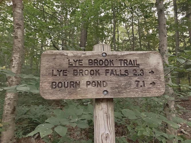 Long hike to Bourn Pond worth it | Local News | manchesterjournal.com