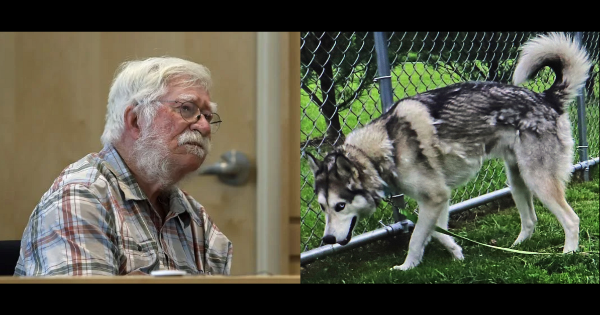 Elderly man, forced to forfeit his dog as part of an animal abuse case ...