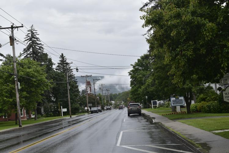 Manchester woman getting rabies shots after being bitten by rabid fox ...