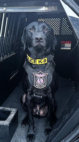 Serving in solidarity: The Manchester Police Department goes pink ...