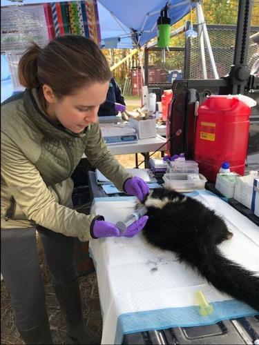 State tick-borne disease expert is guest on 'Medical Matters Weekly ...