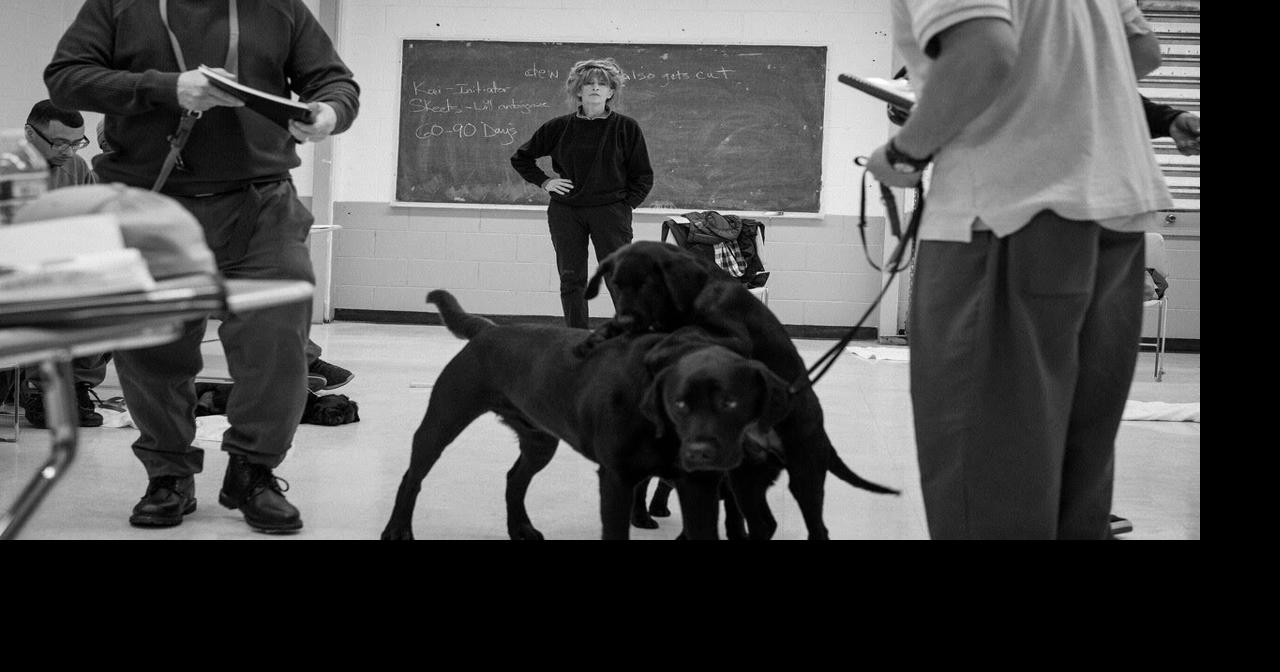 Puppies Behind Bars: Serving the community while serving time ...