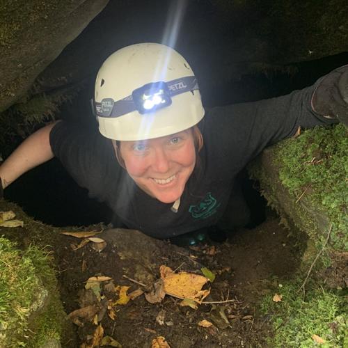 Going batty! Smokey House to host Bat Chat and Walkabout | Local-news ...