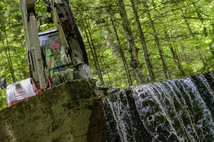 Most of Vermont's dams no longer serve a purpose | Local-news ...