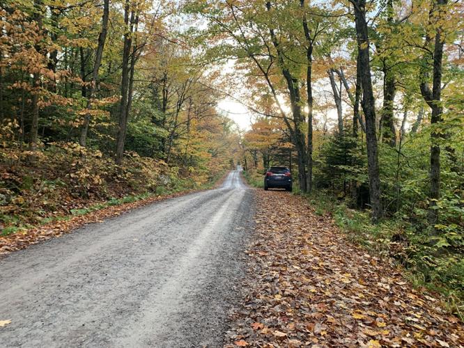 Kelley Stand Road cabin owners face dilemma on ATVs | Local-news ...