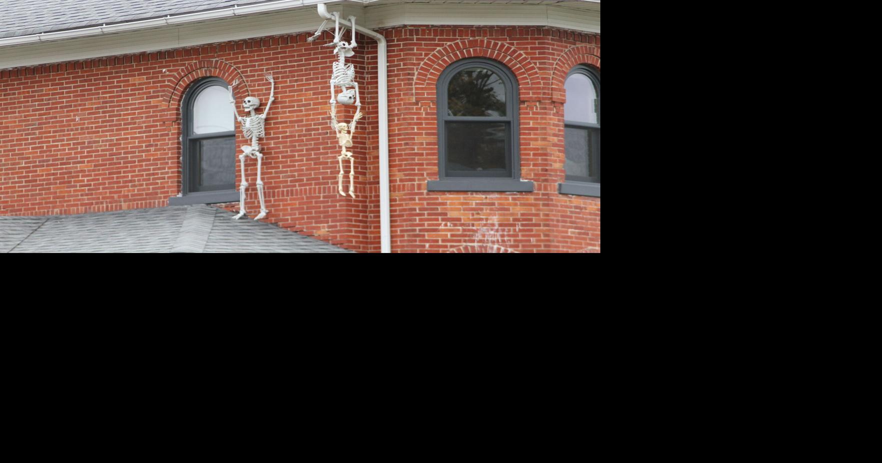 Acrobatic skeletons | News | manchesterpress.com