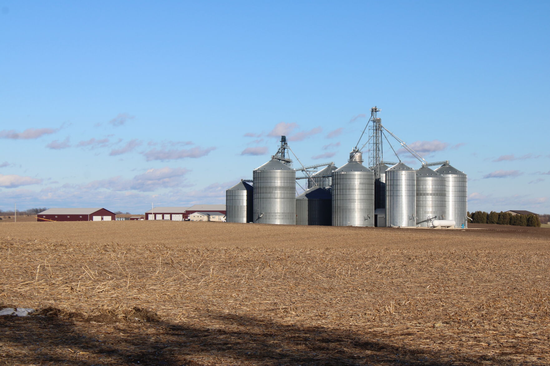 Kelchen Grain remains rooted in Edgewood | News | manchesterpress.com