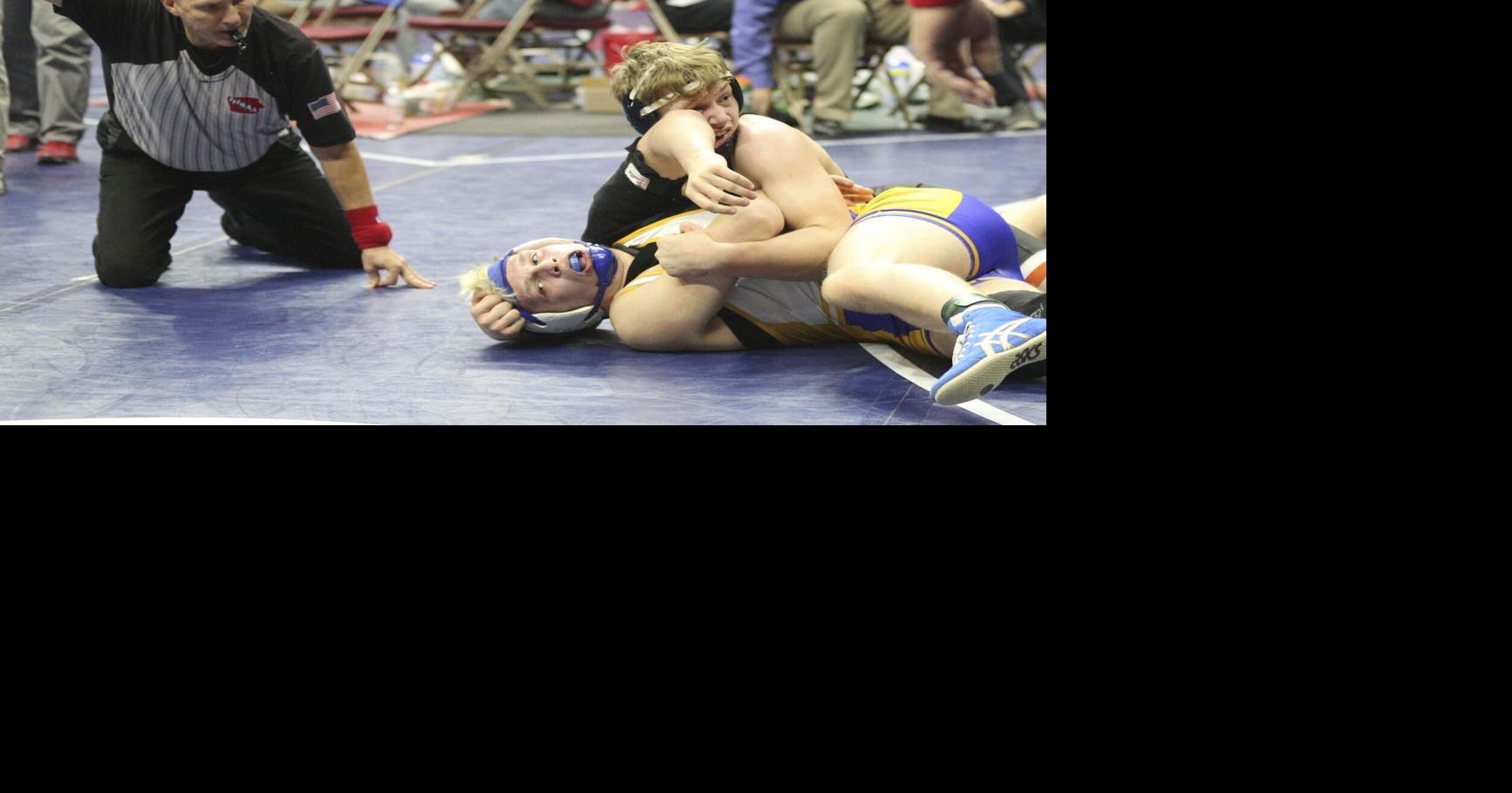Day 4: 4 Hawks medal at state | Sports | manchesterpress.com
