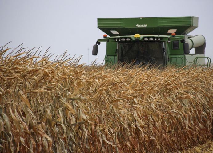 Weather allows farmers to get back in the fields | News ...