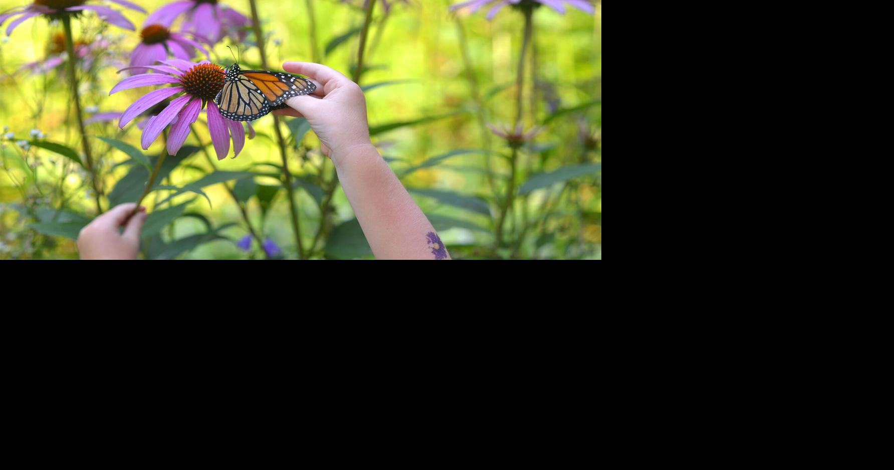 A way to remember | News | manchesterpress.com