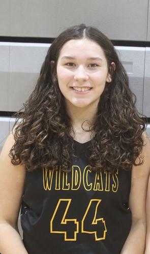 Vikings, Wildcats garner TRC nods | Sports | manchesterpress.com